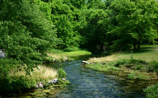 Big Spring Watershed Association