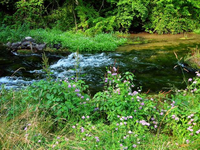 Big Spring Watershed Association